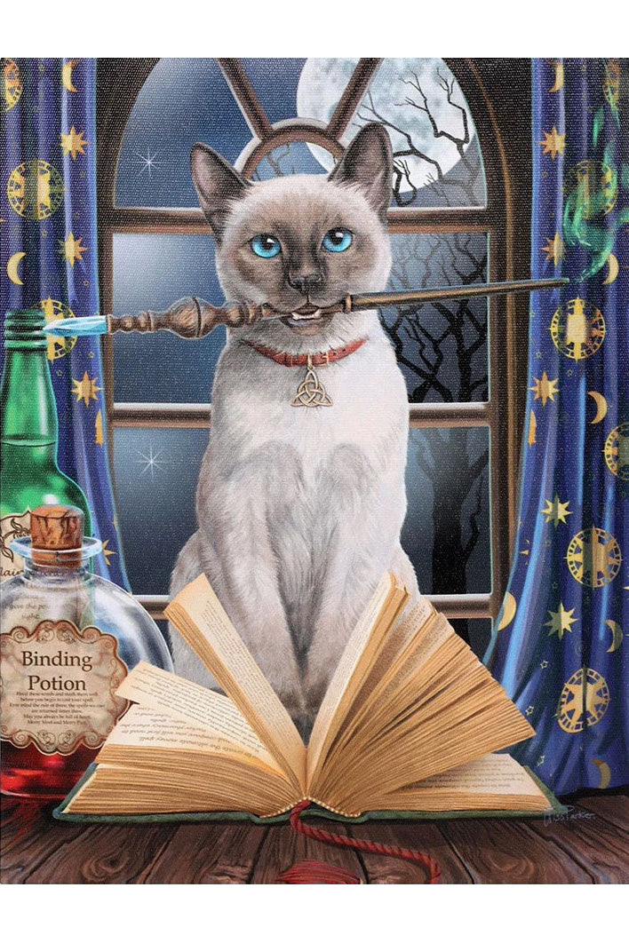 Lisa Parker Hocus Pocus Picture – Angel Clothing