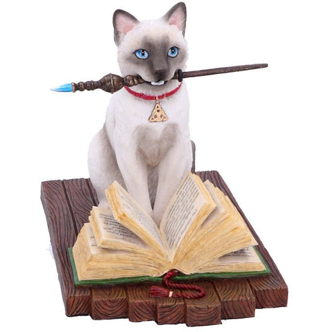 Lisa Parker Hocus Pocus Figurine | Angel Clothing