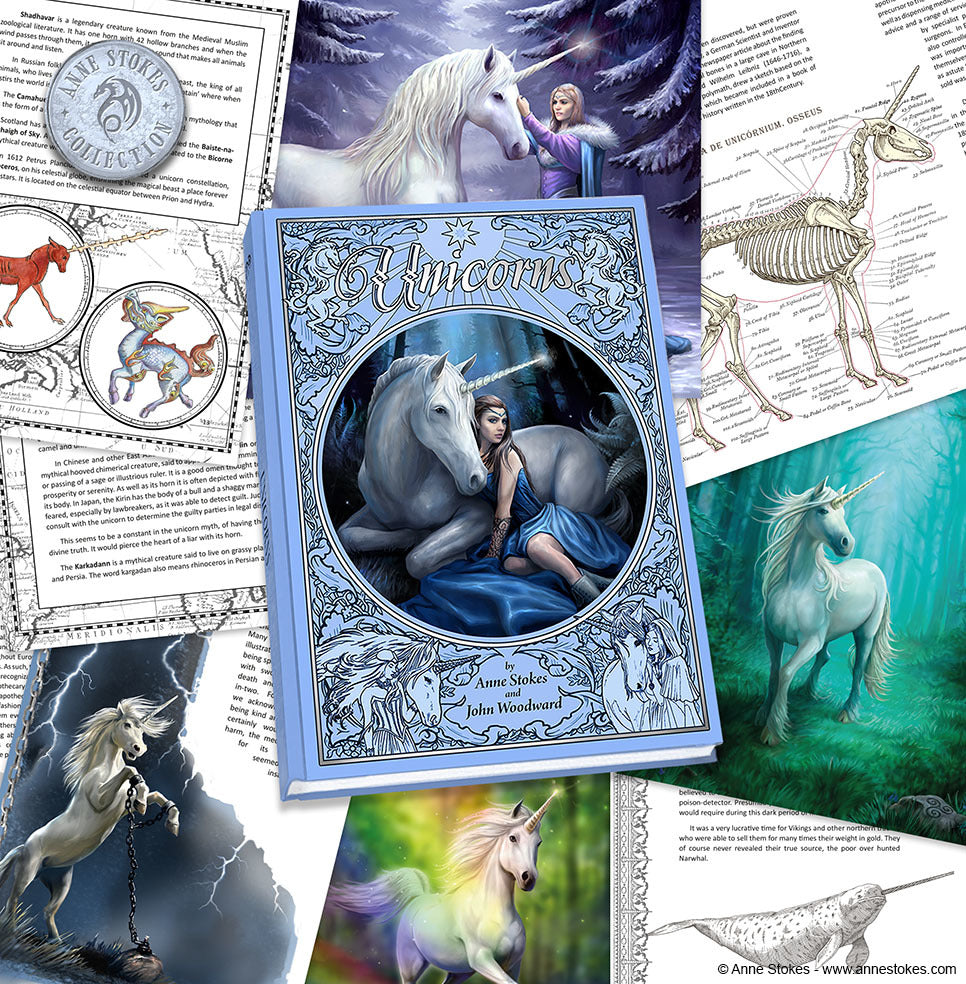 Anne Stokes Unicorn Book | Angel Clothing
